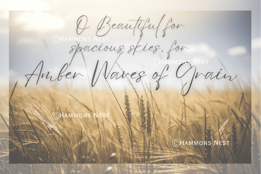 Amber Waves of Grain FREE PRINTABLE